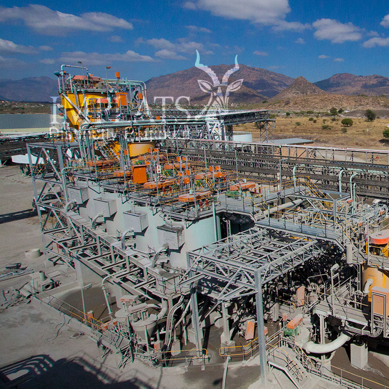 Implats Distinctly Platinum | Gallery | Media